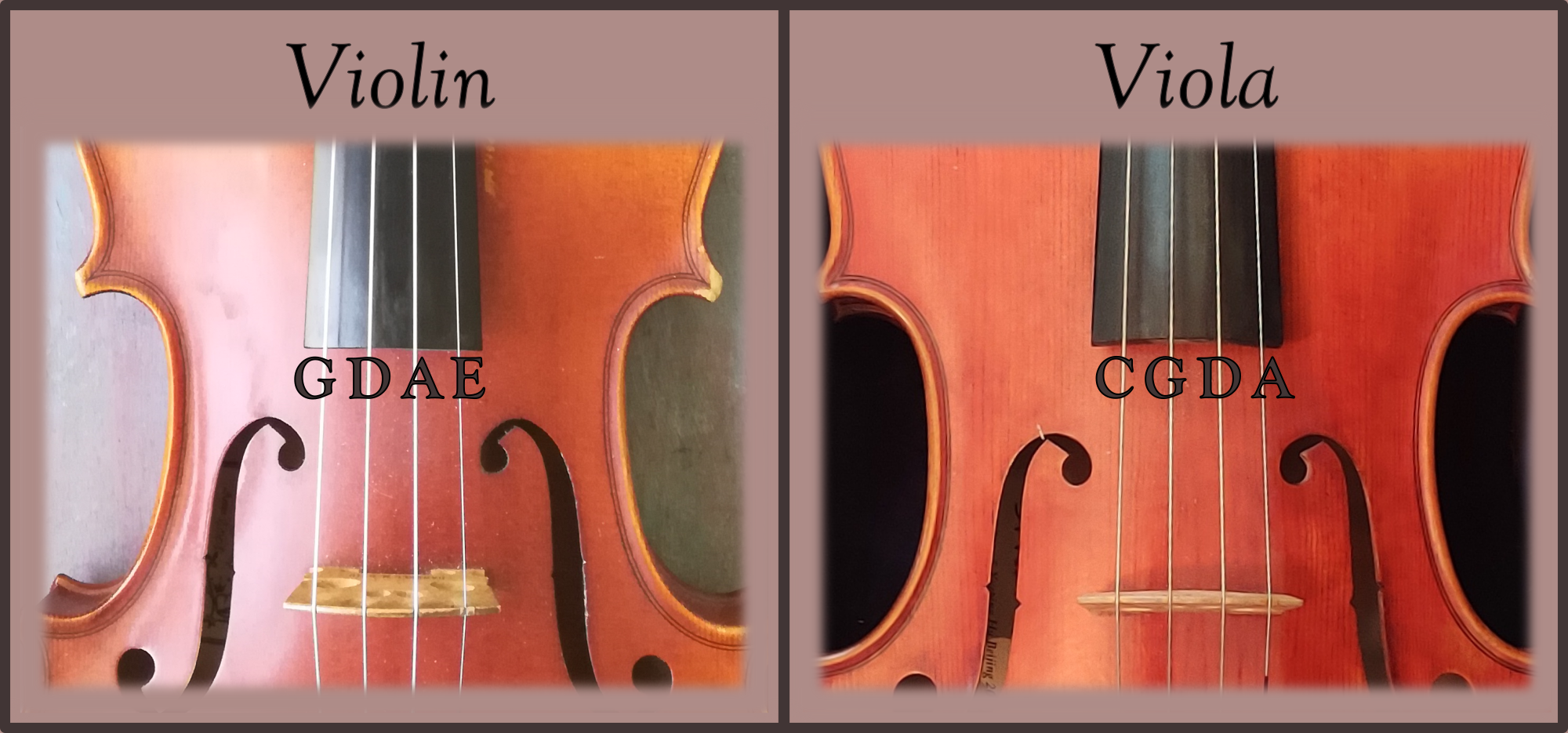 How is the viola different from the violin? - Corey the Human